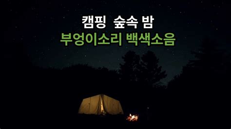 캠핑 산속 밤 자연 소리 And백색 소음 부엉이 소리 Youtube