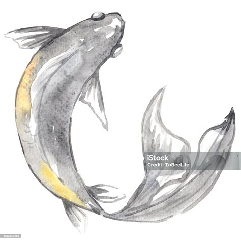 해양 생물과 중국 전통 축제에 장식을위한 검은 잉어 물고기 수채화 그림 벡터에 대한 스톡 벡터 아트 및 기타 이미지 벡터
