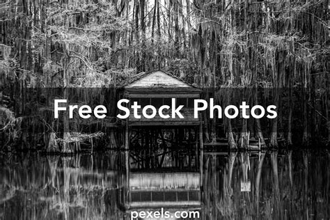 Maledickselfie Photos Download The Best Free Maledickselfie Stock