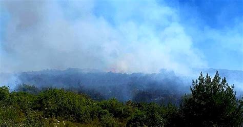 Lebanese Army Intervened To Stop Forest Fire Spreading In Northern Lebanon