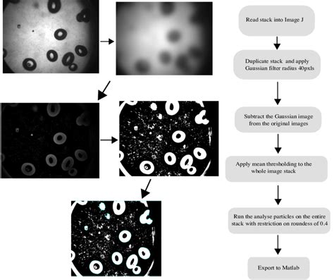 7 showing the image analysis technique for the imagej portion of the