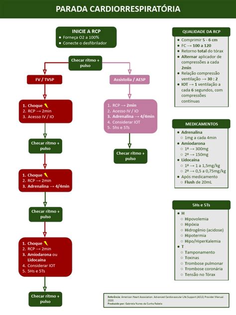 Poster Resumo De Pcr Acls 2020 Pdf Reanimação Cardiopulmonar