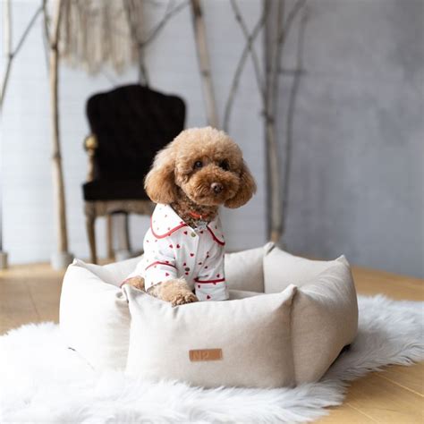 Піжамна вечірка Ні Це мій стиль життя 🐩 У вас понеділок — у мене ранок в своїй стильній