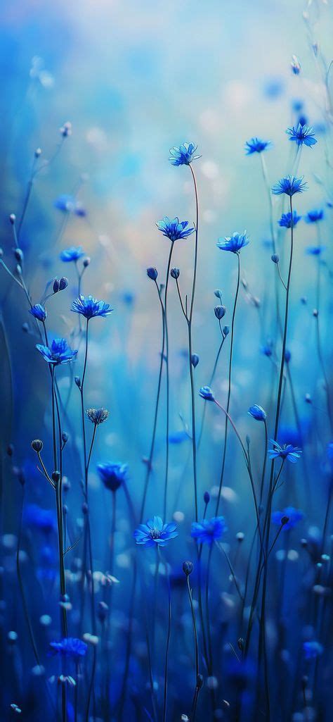 1 сентября Школа 727 Photos