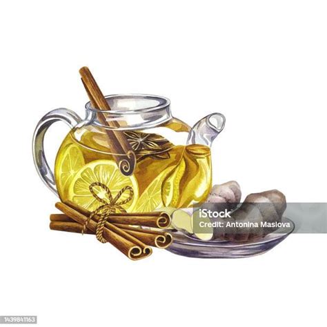 레몬 계피 생강을 곁들인 향기로운 항 바이러스 차 수채화 그림입니다 비타민 차와 유리 주전자 0명에 대한 스톡 벡터 아트 및