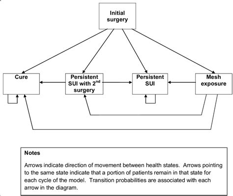 Illustrative Markov Model Structure 53 Download Scientific Diagram