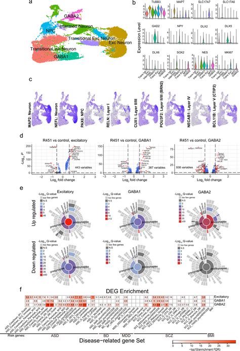 Single Cell Rna Seq Of Ei Mixed Culture R451c Human Ins A Umap Of All