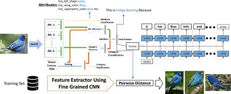 Figure 1 From Explaining Visual Classification Using Attributes
