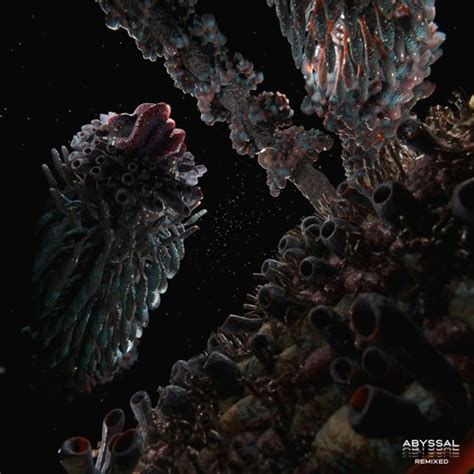 Stream Tenebral Cortex Aspirate Remix By Geometric Corruption Records