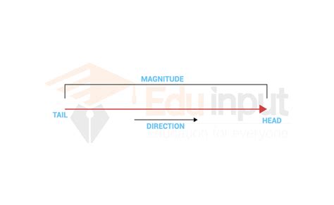 What Is A Vector Mean In Math