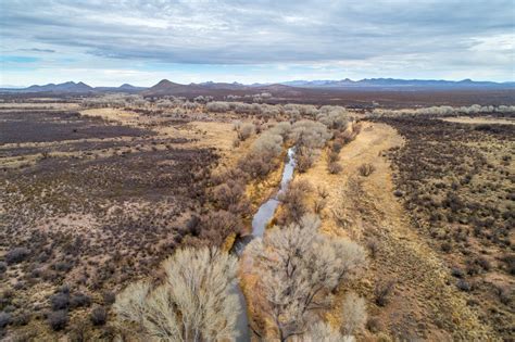 Photos San Pedro River Arizona The Water Desk