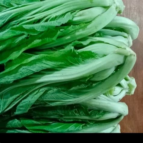 Jual Sawi Pait 1kg Shopee Indonesia