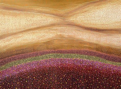 Sonya Edney Artist Bio And Artworks Japingka Gallery