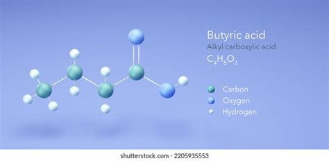 부틸산 분자구조 알킬 카르복시산 3d모델 구조화학식 스톡 일러스트 2205935553 Shutterstock