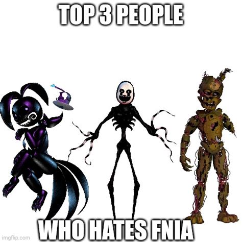 We Will Hunt Mairusu Paua Down If You Hire Us Imgflip