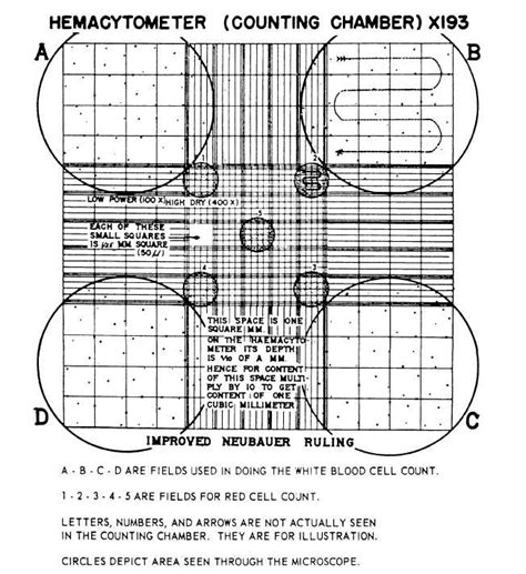 Figure 6 8counting Chambers