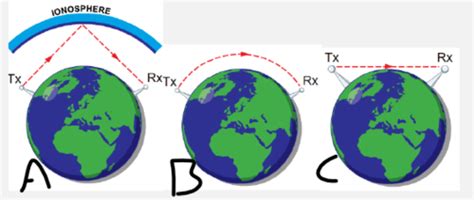 AMS 264 Unit 4 Quiz Flashcards Quizlet