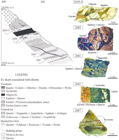 Schematic Swne Profile Of The Fe Skarn Associated With Diorite Shown