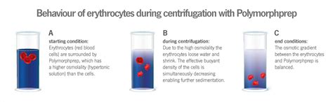 Polymorphprep™ Catalog No Axs 1114683