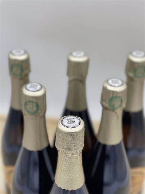 Mathelin Cuvée Lucien Mathelin Champagne Brut 6 Bottles 0 75l Auction Online Catawiki
