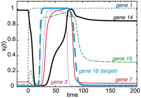 Expression Dynamics In Cooperative Adaptive Networks Responses Of Some