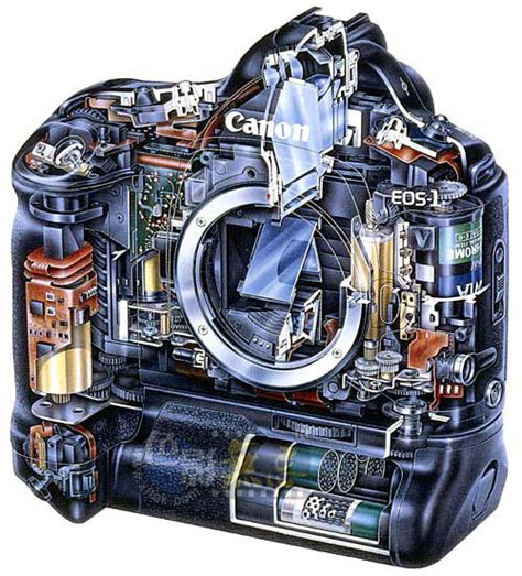 Canon EOS 1V