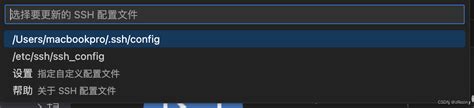 Vs Code 跳板机登录服务器（手打密码秘钥登录）vscode 跳板机 Csdn博客