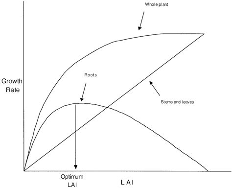 Schematic Representation Showing Relation Between Whole Plant Growth Download Scientific