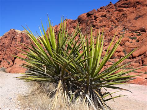 New Study Reveals Secrets Of One Of Europes Largest Megalithic Structures Modern Sciences