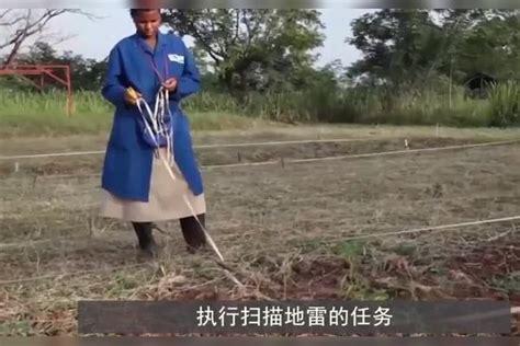 老鼠总被人人喊打，在这里却被人们视为英雄，这是为啥？老鼠英雄人们