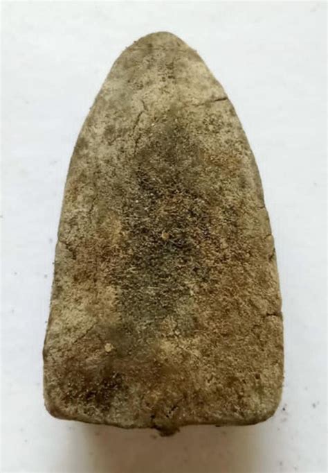 พระหลวงปู่ทวดของแท้ปี 2550 เนื้อว่านเก่าปี 2497 ปลุกเสกโดย พ่อท่านพล วัดนาประดู่ ปัตตานี ศิษย์