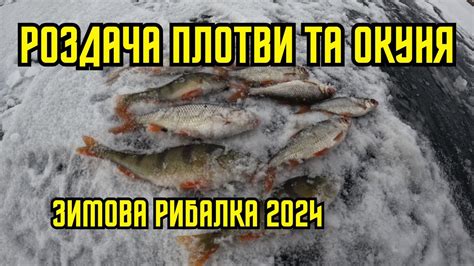 Роздача Плотви та Окуня Зимова рибалка ЯК ловити на безмотилку Youtube