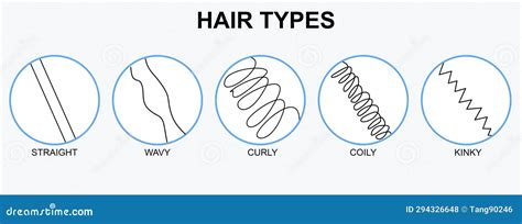 Classification Of Hair Types Straight Wavy Curly Coily Kinky Scheme Of Different Types Of