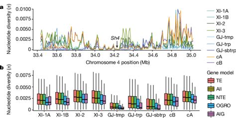 Nucleotide Diversity A Differential Nucleotide Diversity Between Download Scientific
