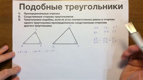 Подобие треугольников. Тригонометрия - Uchus.Online