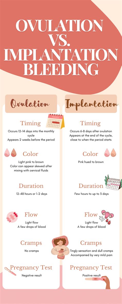 Ovulation Vs Implantation What Is The Difference