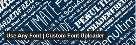 Top 5 Wordpress Plugins For Adding Custom Fonts Getsethappy