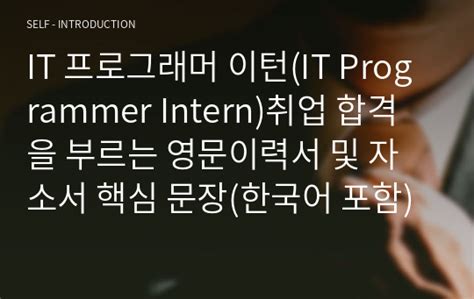 It 프로그래머 인턴it Programmer Intern취업 합격을 부르는 영문이력서 및 자소서 핵심 문장한국어 포함 자기소개서