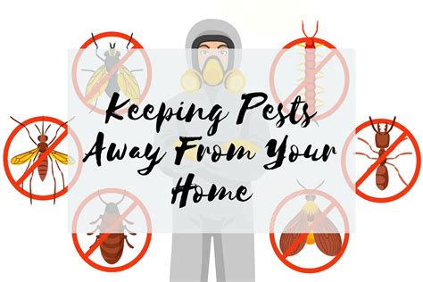 How To Prevent Unwanted Pests From Entering Your Home Speed Reading Zone