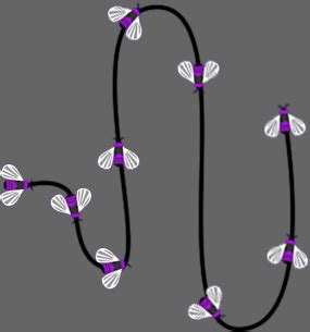 Animation Along A Path With Auto Rotation Based On The Path In Android