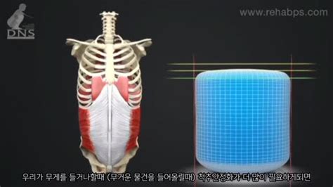 정효익 주아이엠코퍼레이션 대표 물리치료사 • 나 달라진거 없어 2만원의 행복 끝 소소한행복 스트레스해소법 제품 마감이 약간 아쉽 다음엔 랩핑해야지