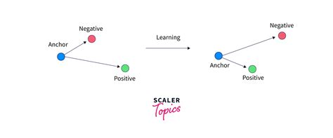 Siamese Networks Scaler Topics