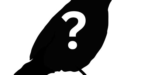 Bird Flu Confirmed In Bossier Parish ‘backyard Flock Louisiana Ag