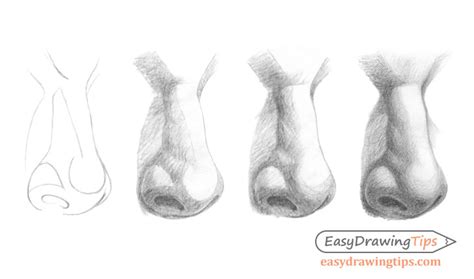Female Nose Drawing Side View