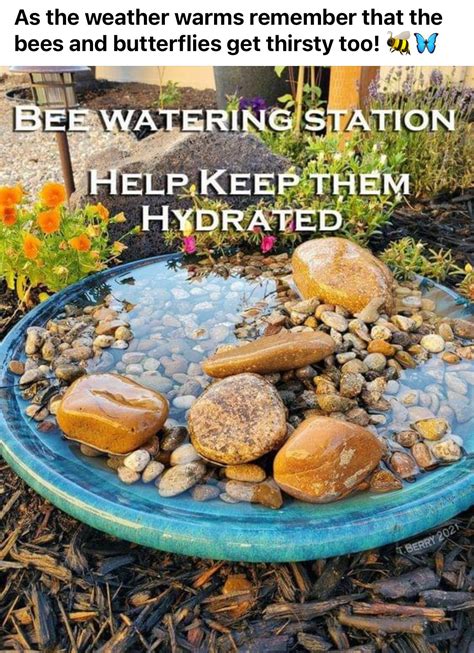How To Make A Simple Bee Water Station For Your Garden Artofit