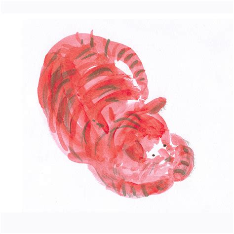 Bridget Irving Severn Art