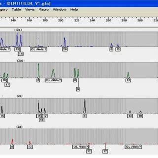PDF Paternity Testing And Forensic DNA Typing By Multiplex STR Analysis Using ABI PRISM