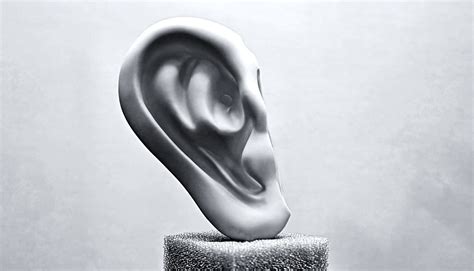 Hearing Loss Restoration Restored Cochlear Hair Cells 1600 Futurity