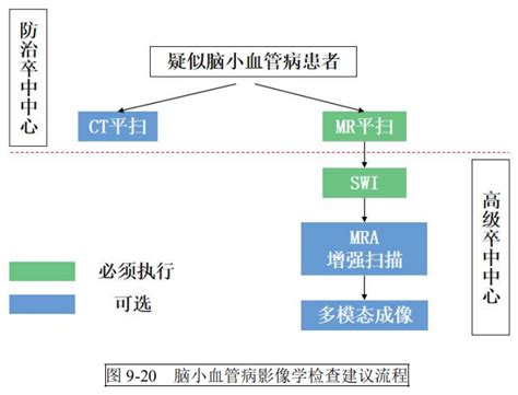 规范学习系列：中国脑血管病影像学指导规范⑧脑小血管病影像学指导规范（2021） 脑医汇