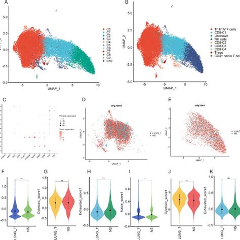 Heterogeneity Of Nkt Cells In Lung Adenocarcinoma And Brain